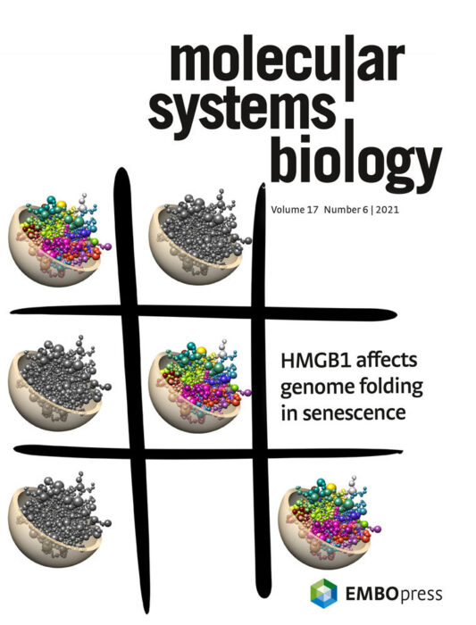 Publications - Argyris Papantonis Lab