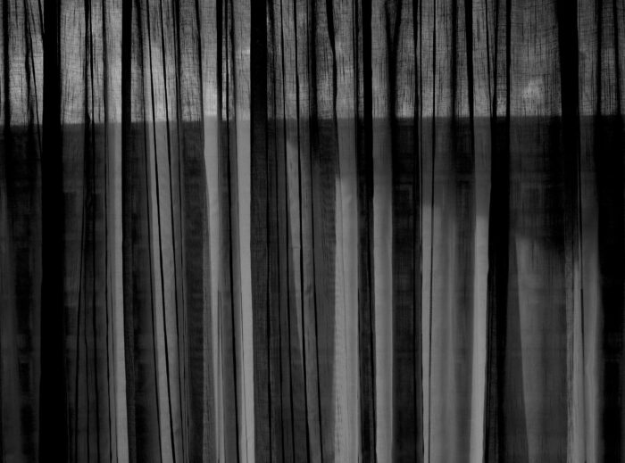 Home - Argyris Papantonis Lab
